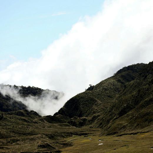 A rose in every cheek: 100 years of Vegemite, the wartime spread that ...